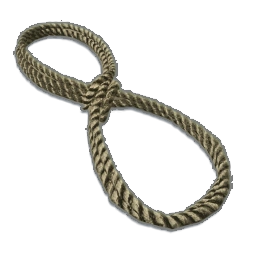 Simple Cord | Bellwright Wiki | Fandom