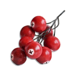 Cranberry | Bellwright Wiki | Fandom