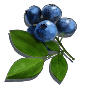 Food | Bellwright Wiki | Fandom