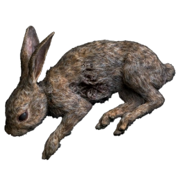 Rabbit Carcass | Bellwright Wiki | Fandom