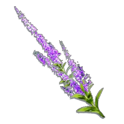 Sage | Bellwright Wiki | Fandom