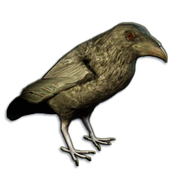 Crow | Bellwright Wiki | Fandom