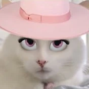 Snowball | Beluga Characters Wiki | Fandom