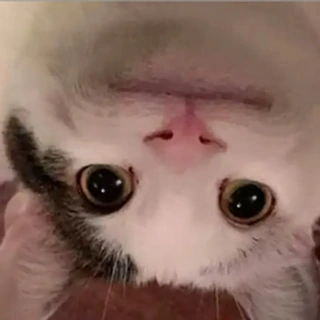 Aguleb | The Beluga Cinematic Universe Wiki | Fandom