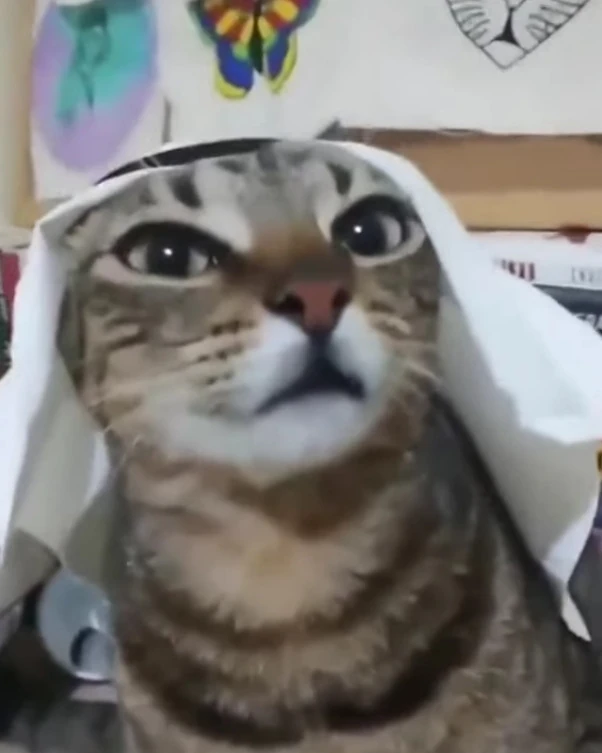 List of Characters | The Beluga Cinematic Universe Wiki | Fandom