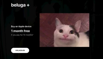 Beluga+ | The Beluga Cinematic Universe Wiki | Fandom