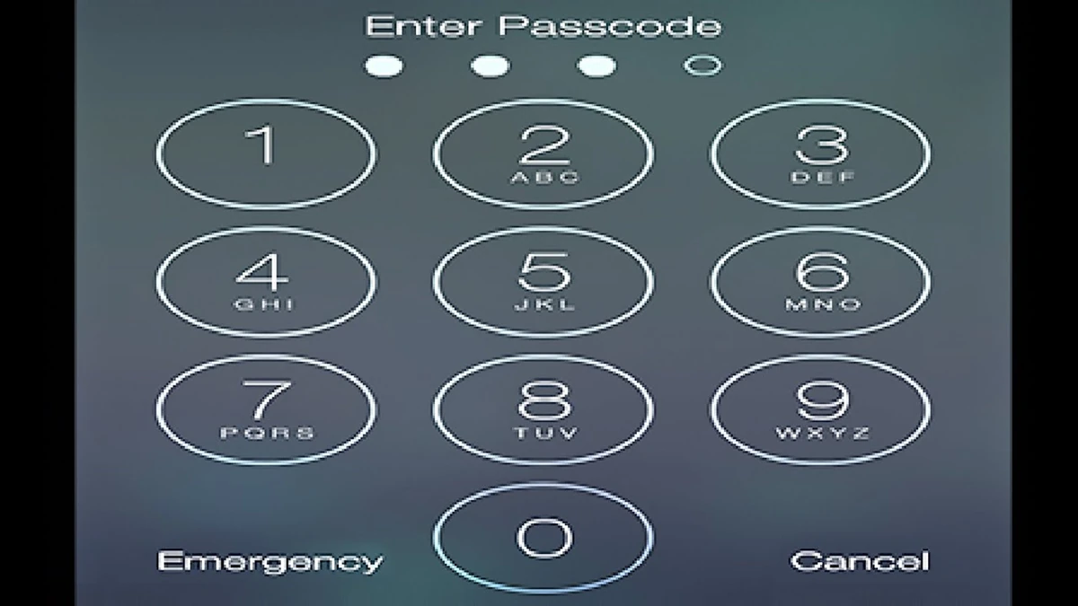 When You Forget Your Passcode... | The Beluga Cinematic Universe Wiki | Fandom