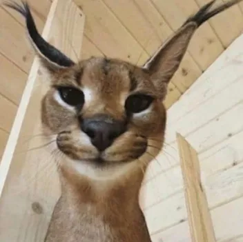 Baby Hecker | The Beluga Cinematic Universe Wiki | Fandom