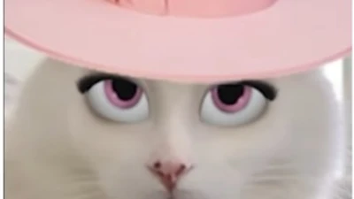 Discuss Everything About The Beluga Cinematic Universe Wiki | Fandom