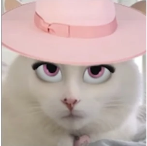 snowball | The Beluga Cinematic Universe Wiki | Fandom