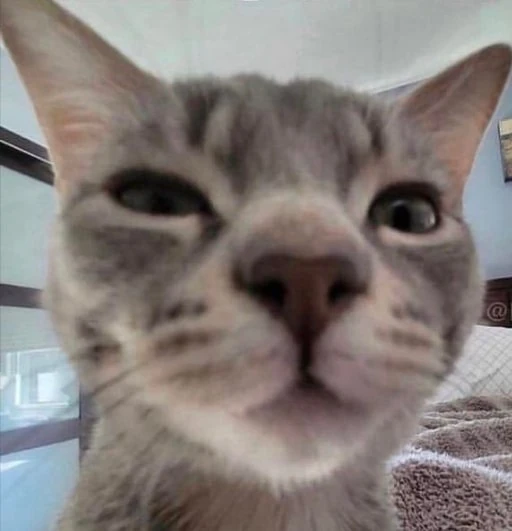 Scemma | The Beluga Cinematic Universe Wiki | Fandom