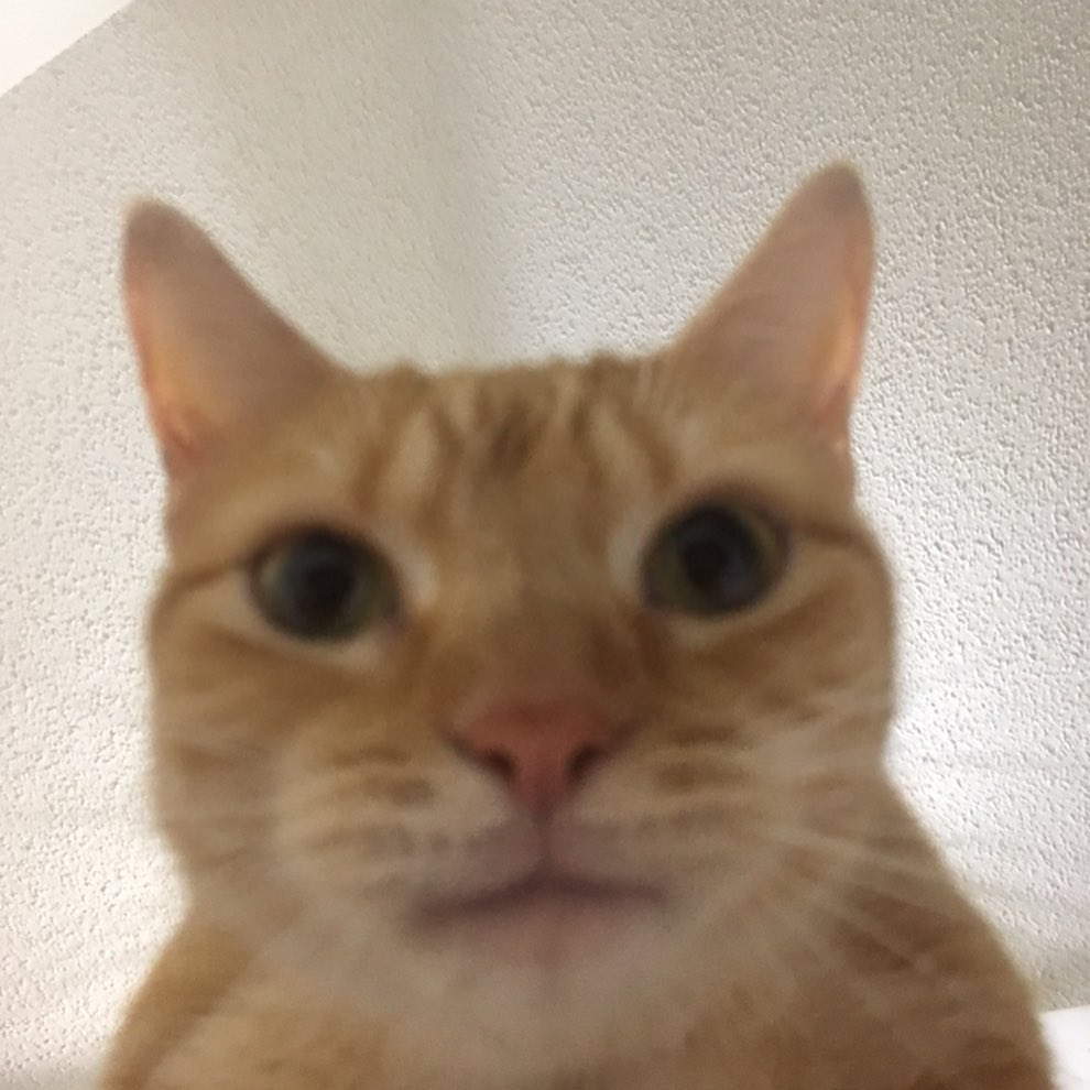 techer | The Beluga Cinematic Universe Wiki | Fandom