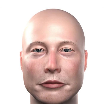 real elon musck | The Beluga Cinematic Universe Wiki | Fandom