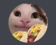 Beluga | The Beluga Cinematic Universe Wiki | Fandom