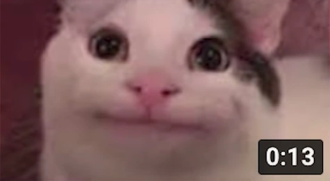 begula face revel | The Beluga Cinematic Universe Wiki | Fandom