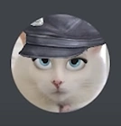 Police cat | The Beluga Cinematic Universe Wiki | Fandom