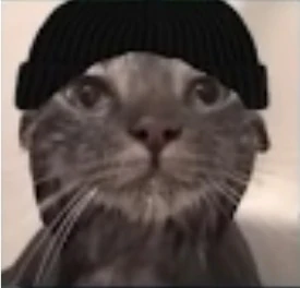 rober | The Beluga Cinematic Universe Wiki | Fandom