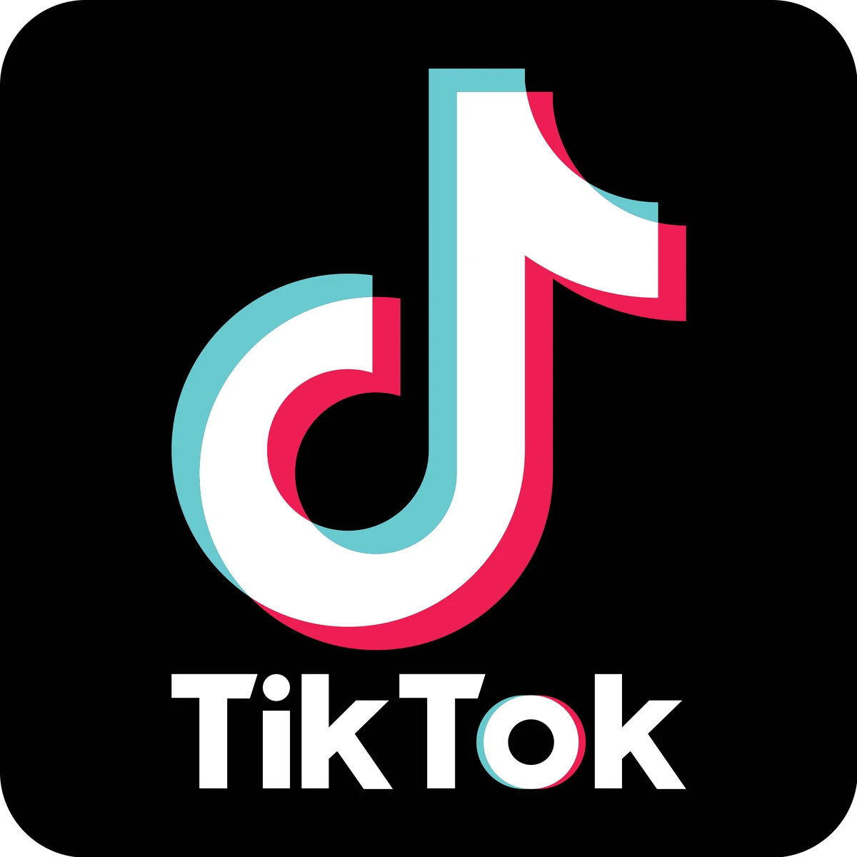 TikTok | The Beluga Cinematic Universe Wiki | Fandom