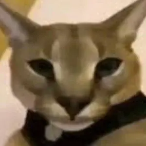 hecker | Beluga Wiki | Fandom