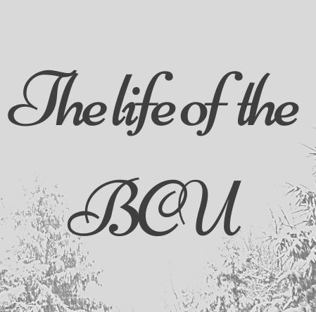 The life of the BCU | Beluga Fanon Wiki | Fandom