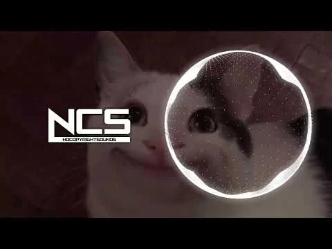 Belupacito | Beluga Fanon Wiki | Fandom