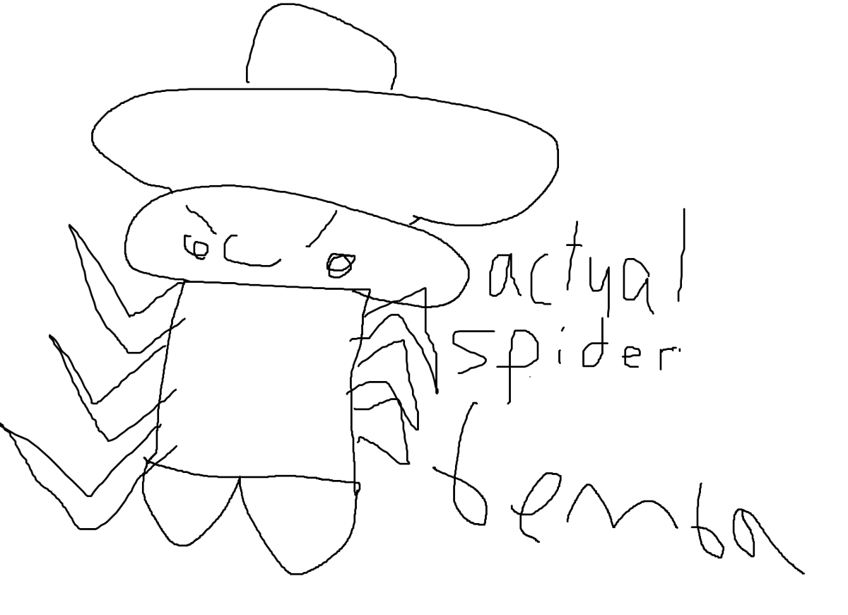 Actual spider bemba | The bembapedia Wiki | Fandom