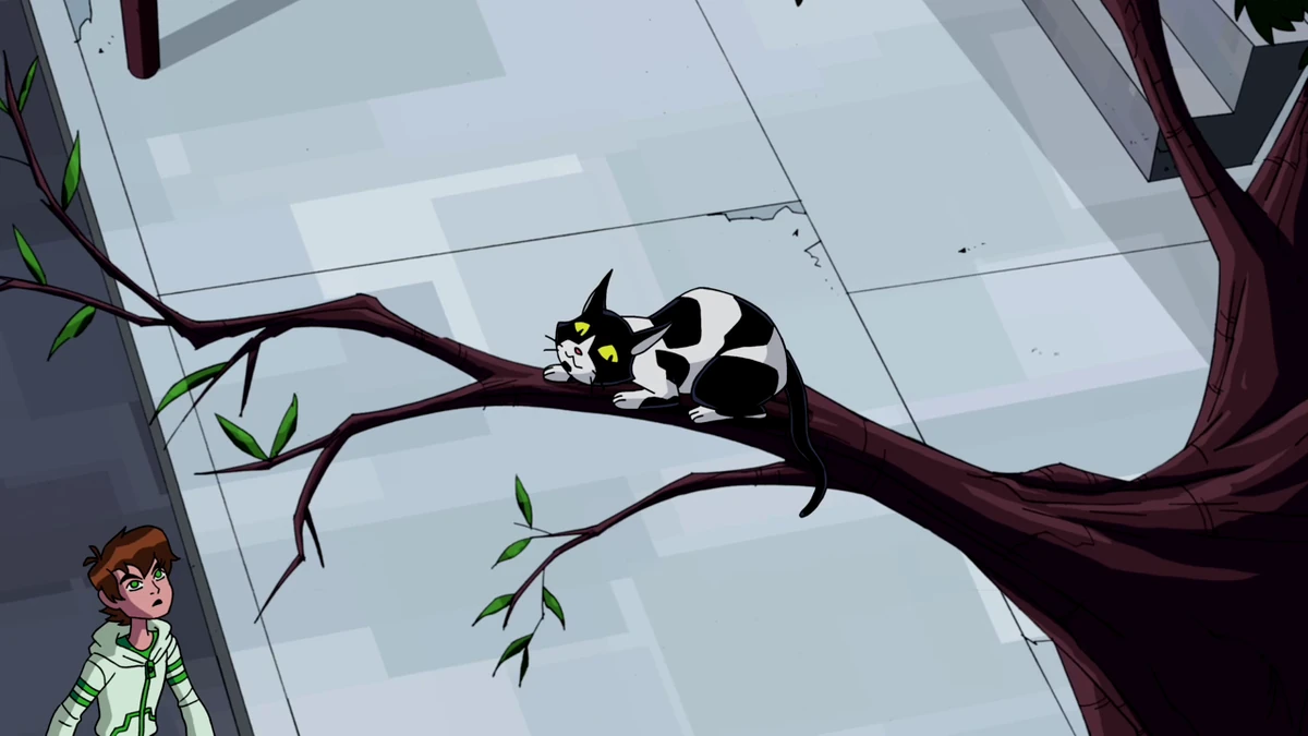 Mr. Catsby/Gallery | Ben 10 Wiki | Fandom
