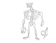 Appoplexian/Gallery | Ben 10 Wiki | Fandom