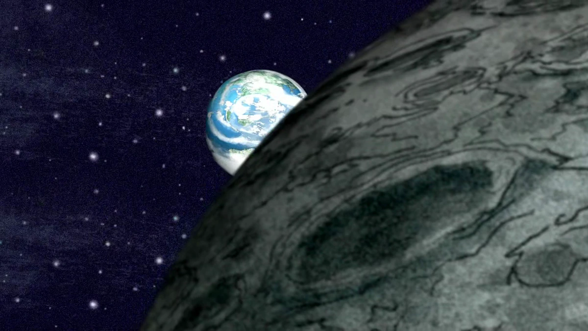 Grudge Match/Gallery | Ben 10 Wiki | Fandom