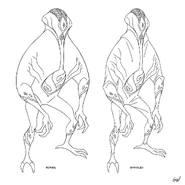 DNAlien/Gallery | Ben 10 Wiki | Fandom