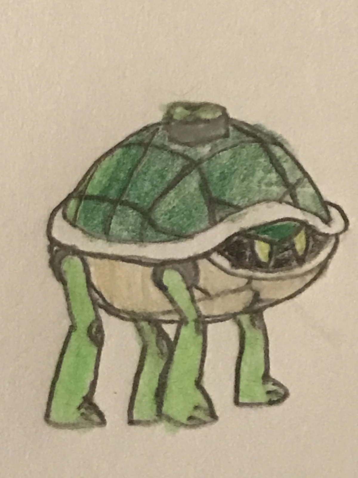 Shellhead (Pokémon Sky) | Ben 10 Fan Fiction Wiki | Fandom