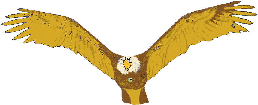 EyEgle (TM) | Ben 10 Fan Fiction Wiki | Fandom