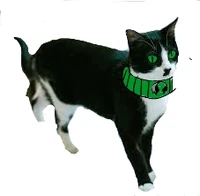 Gigato | Ben 10 Fan Fiction Wiki | Fandom