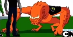 Wildmutt | Ben 10 Omniverse Wiki | Fandom