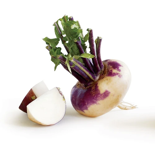 Brassica rapa rapa | Herbal Advice Wiki | Fandom