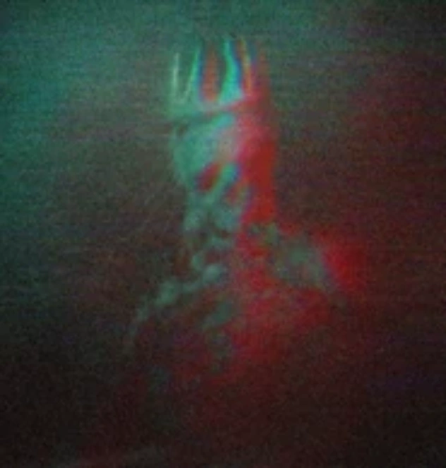 Fetid | Bendy's Custom Nextbot's Wiki | Fandom