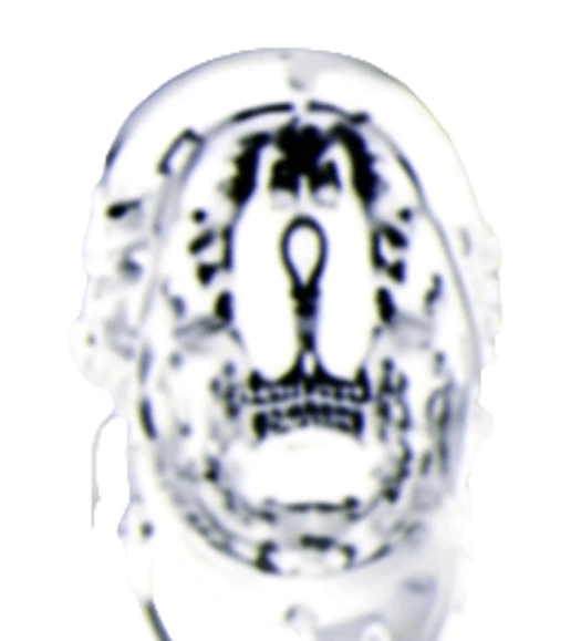 Reverse faceless | Bendy's Custom Nextbot's Wiki | Fandom