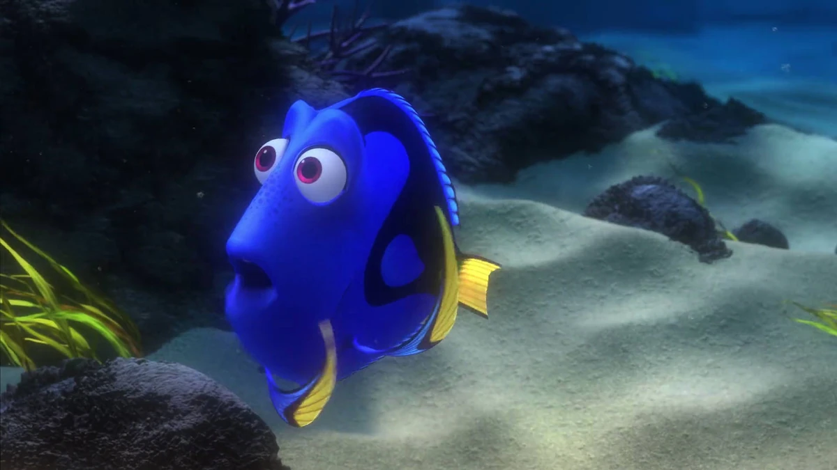 Dory | Benjamin Darden's Character Profile Wiki | Fandom