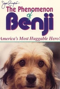 The Phenomenon of Benji | Benji Wiki | Fandom