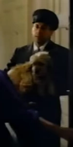 George | Benji Wiki | Fandom