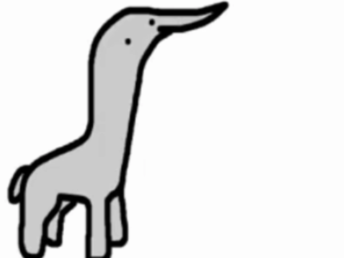 Llama Berd | Berd Wiki | Fandom