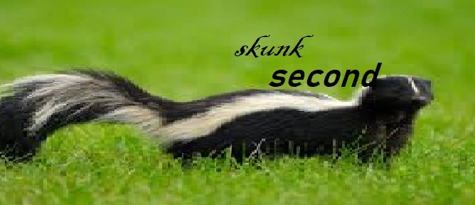 Skunk Second | Berd Wiki | Fandom