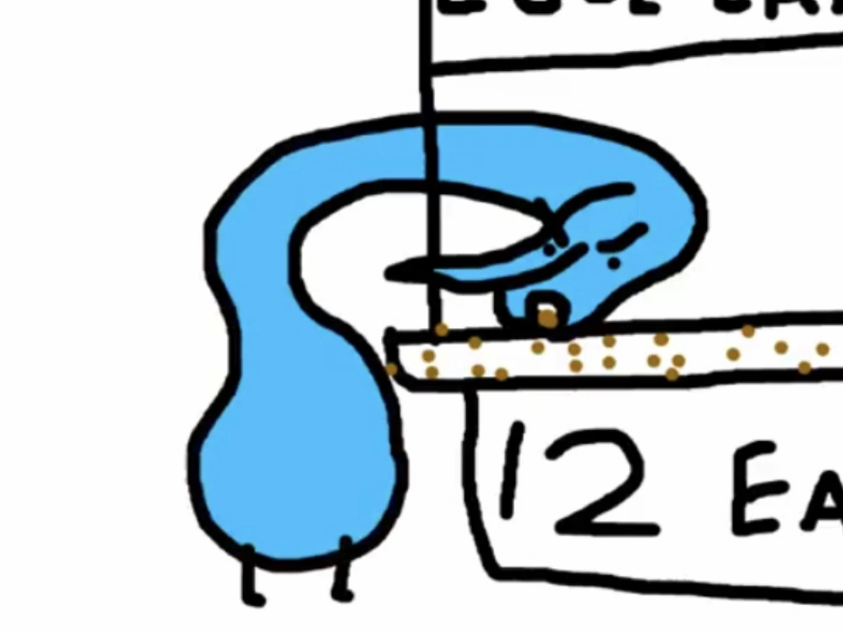 Douglas | Berd Wiki | Fandom