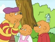 The Too-Tall Gang | Berenstain Bears Wiki | Fandom