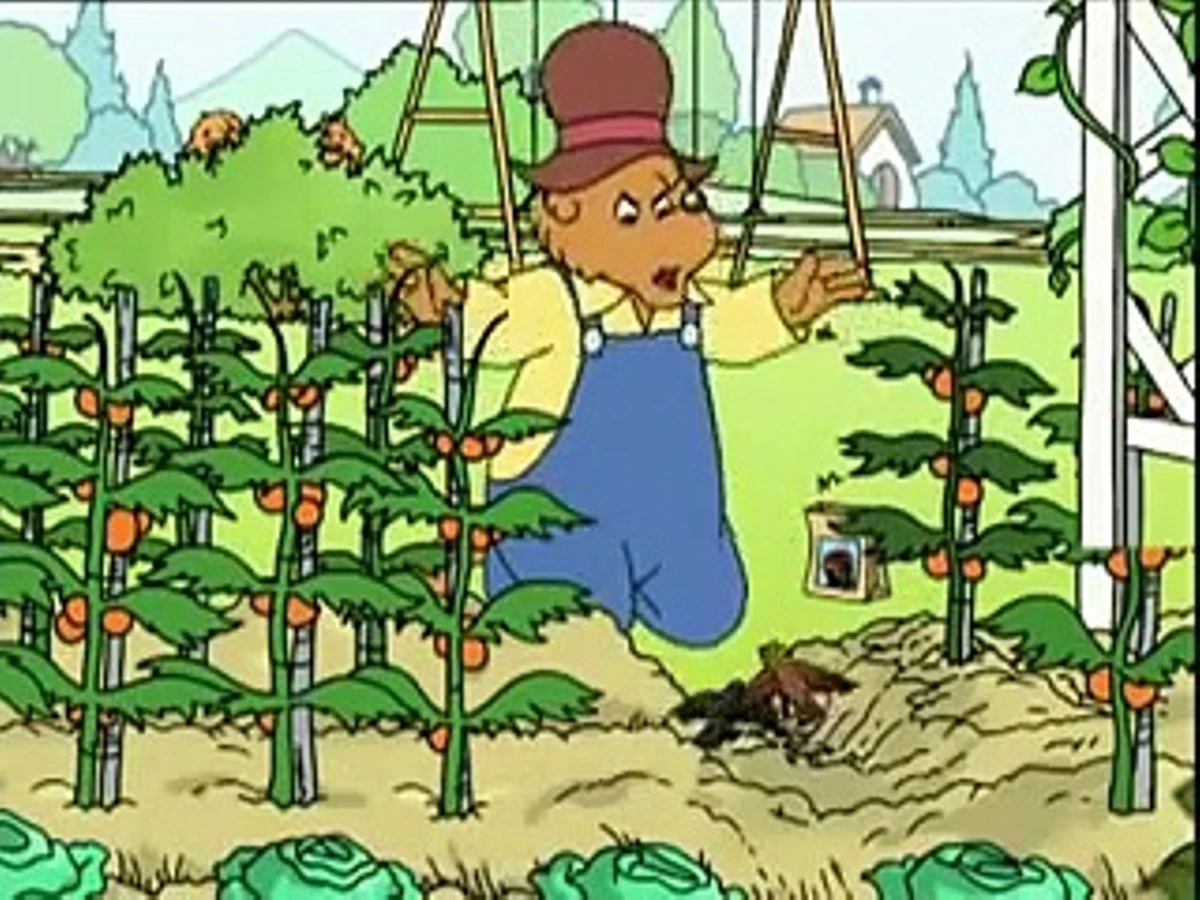 The Berenstain Bears: That Stump Must Go (episode)/Gallery | Berenstain ...