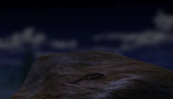 Lizard | Bernard Wiki | Fandom