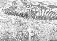 Kushan | Berserk Wiki | Fandom