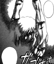 "Fallen Falcon" | Berserk Wiki | Fandom