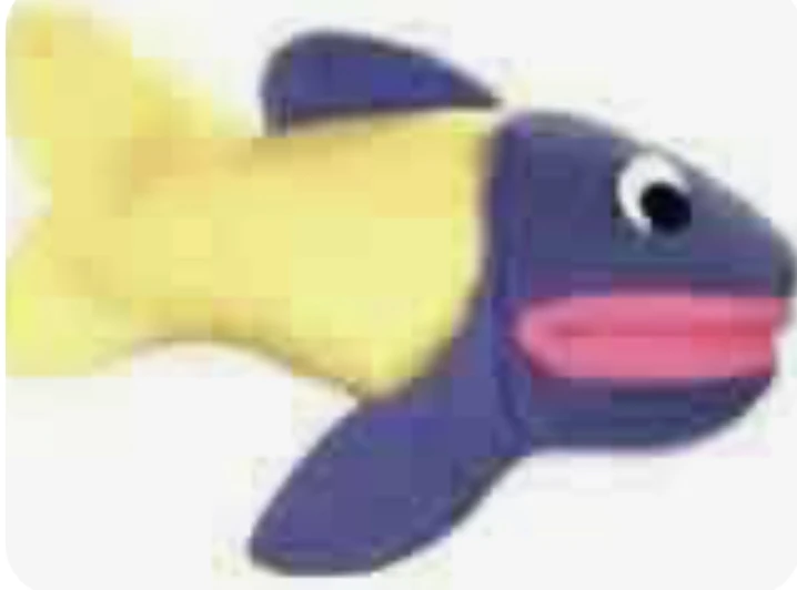 Wanda The Fish | Best Baby Einstein Wiki | Fandom