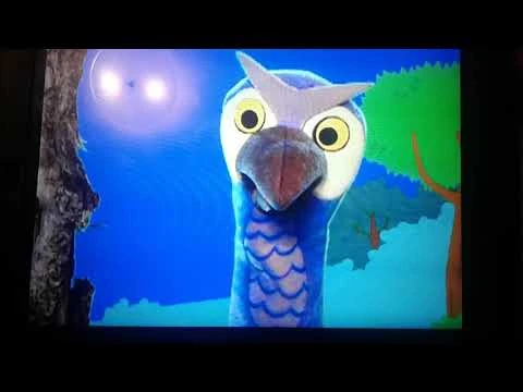 Otto The Owl | Best Baby Einstein Wiki | Fandom